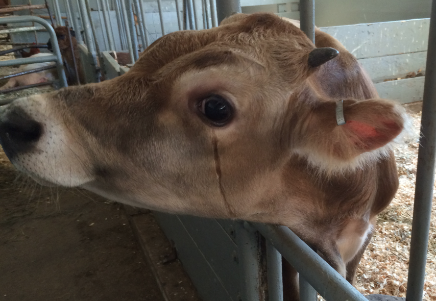 Met some new friends | Damien's Site